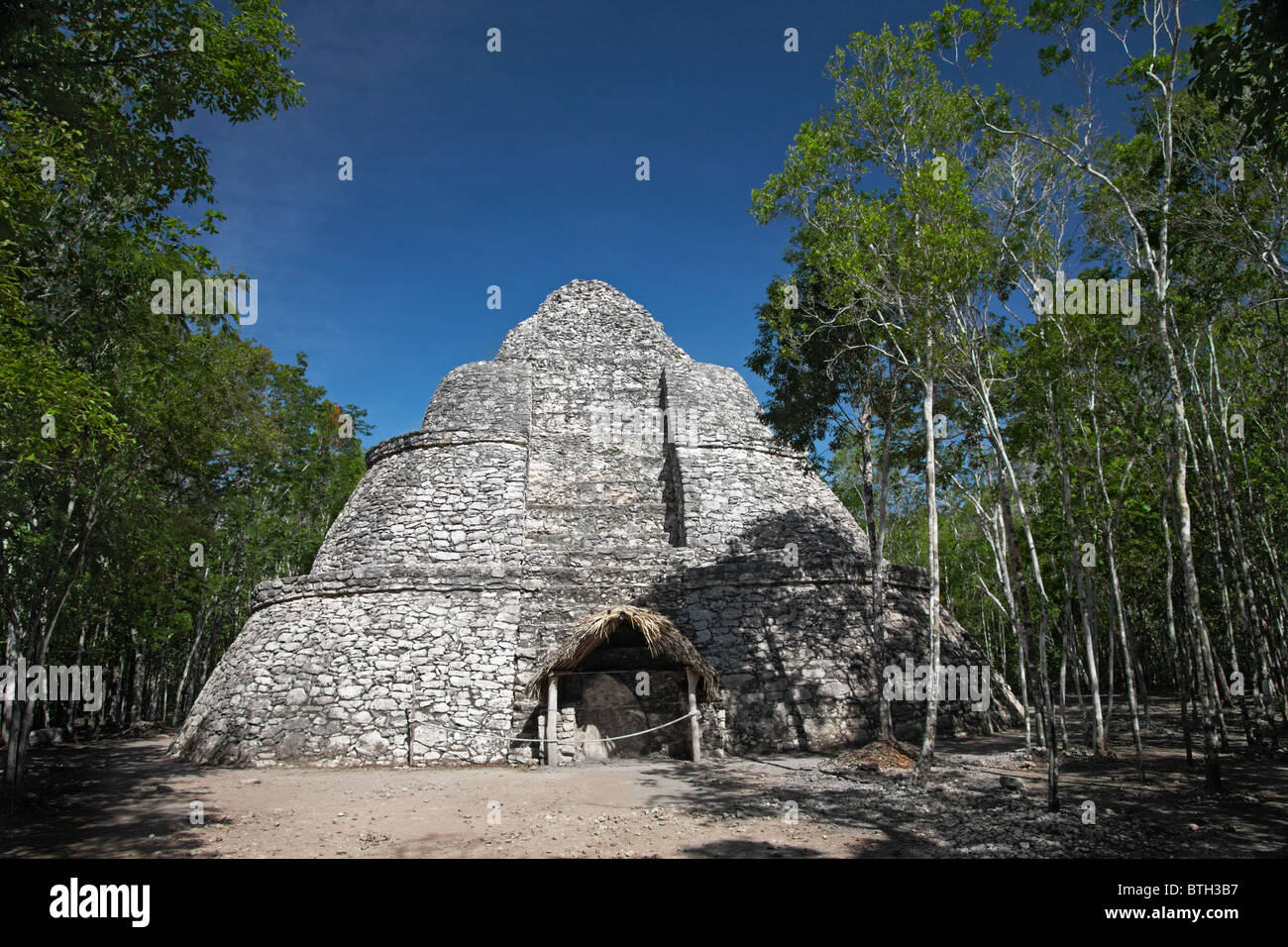Xaibe mayan pyramid in Coba, Mexico Stock Photo - Alamy