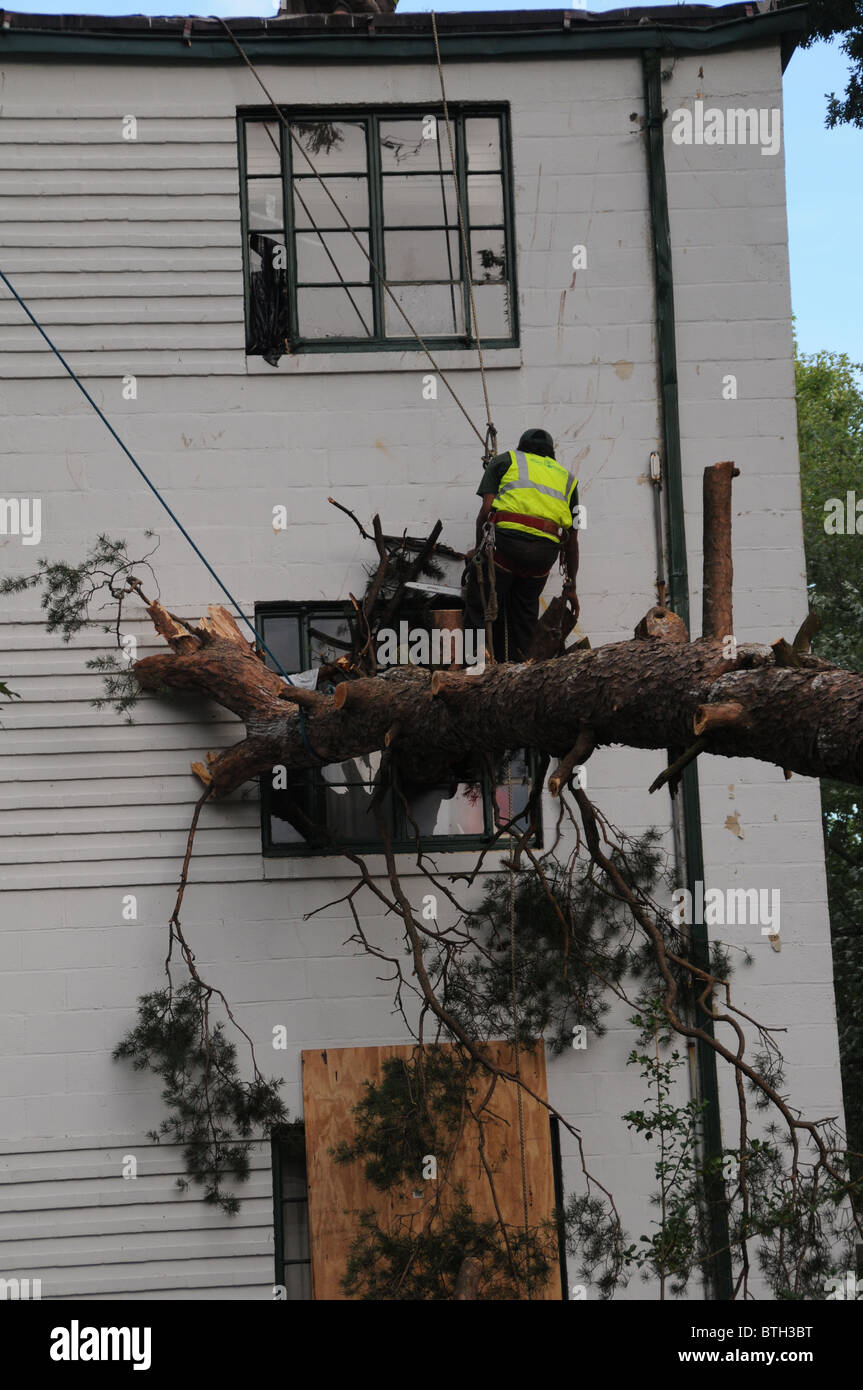 officials try to remove a tree from a window of an apartment building ...