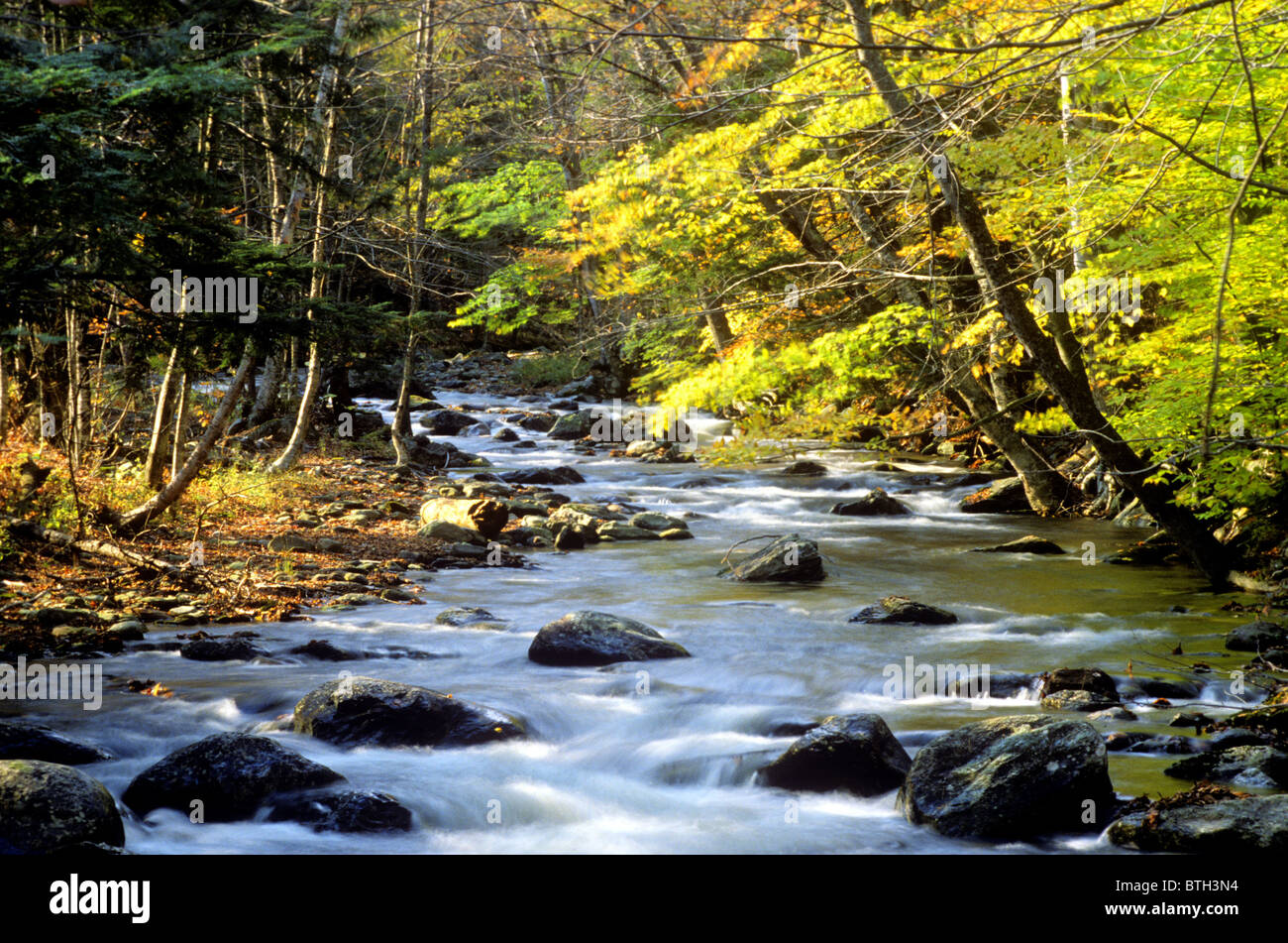 Brook on Mount Mansfield During Fall Foliage Stock Photo - Alamy