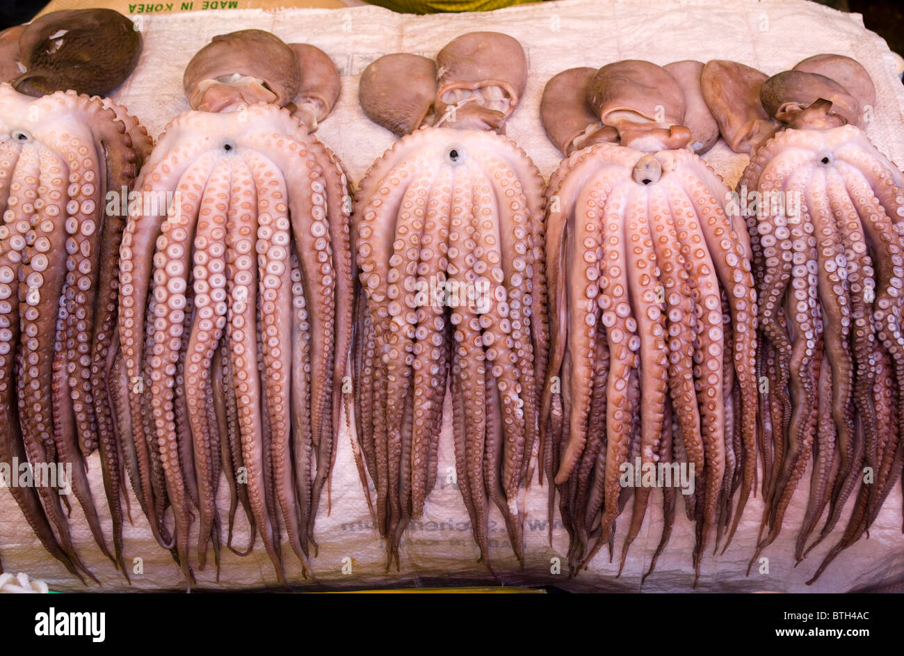 Octopus in seafood market Stock Photo - Alamy