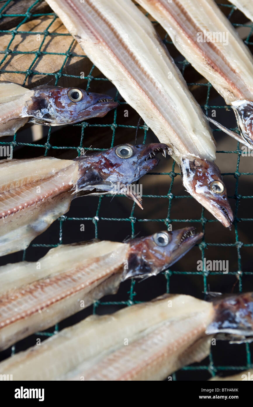 Racks Fish Market at David Pisani blog