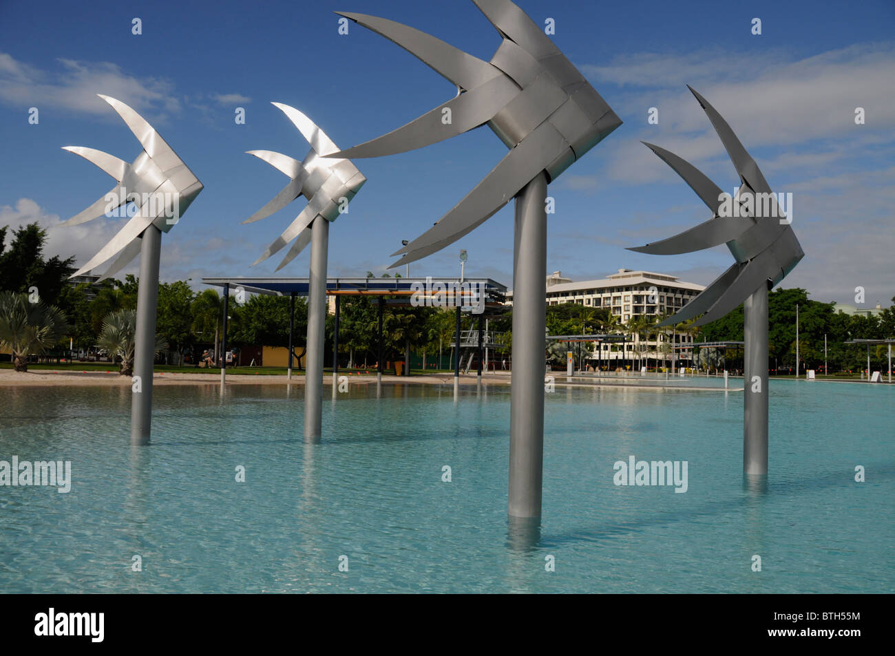 A set of sliver fish sculptures in the swimming pool in Cairns ...