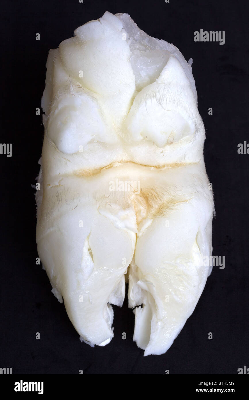 Boiled Cow Hoof - An example of the strange or weird food eaten by ...