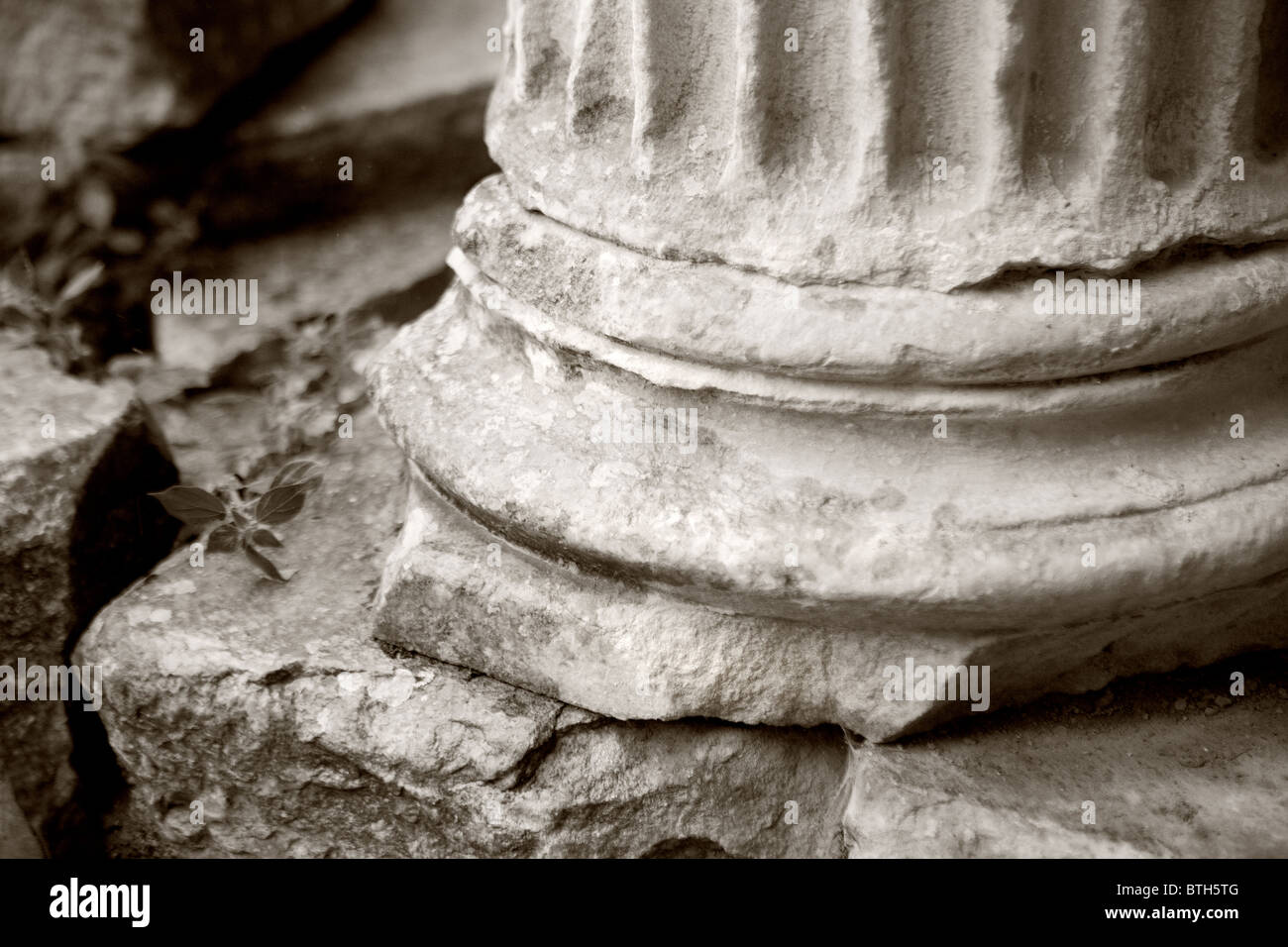 Close up columns in classic hi-res stock photography and images - Alamy