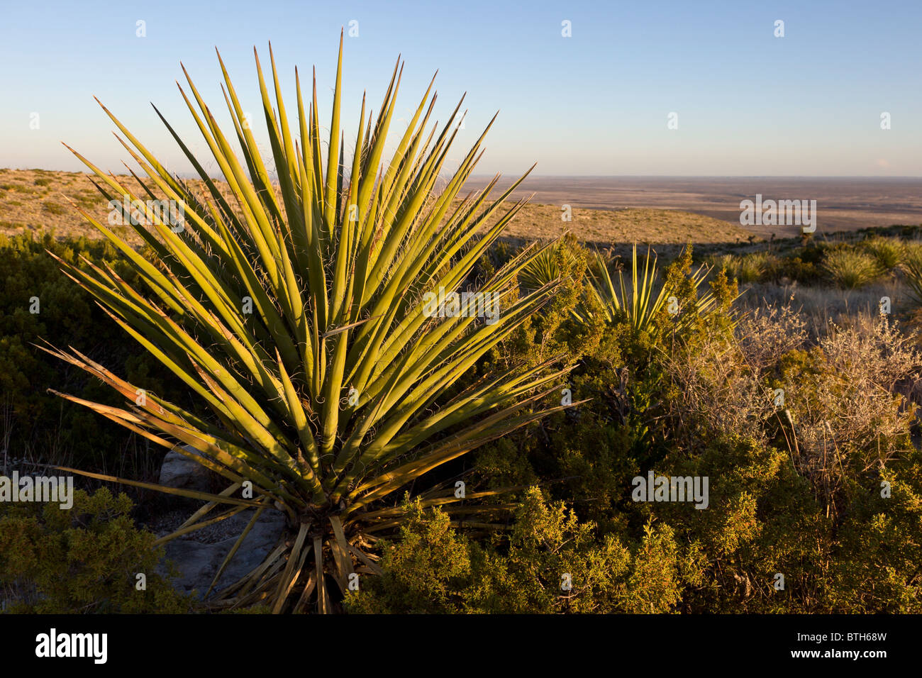 Looking over the Chihuahuan Desert at Carlsbad Caverns National Park in ...