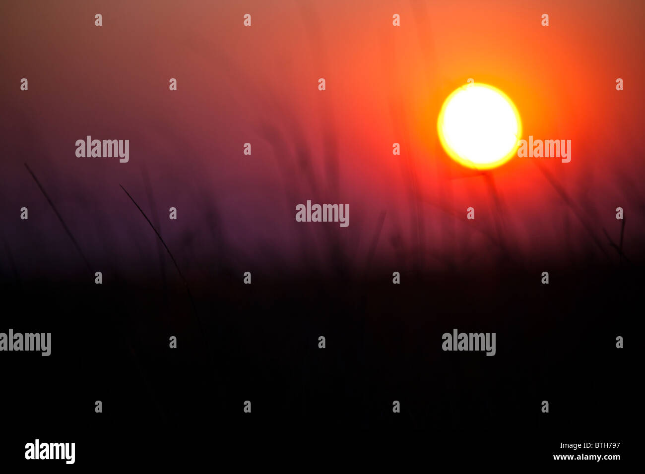 Botswana sunset hi-res stock photography and images - Alamy