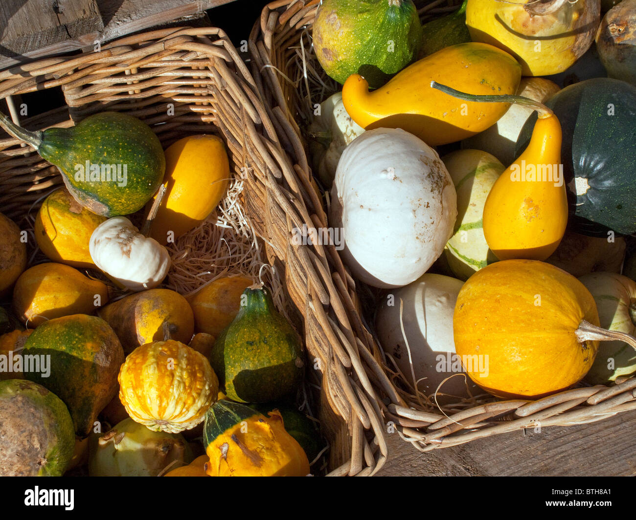 Pumpkin assortment in basket Stock Photo - Alamy