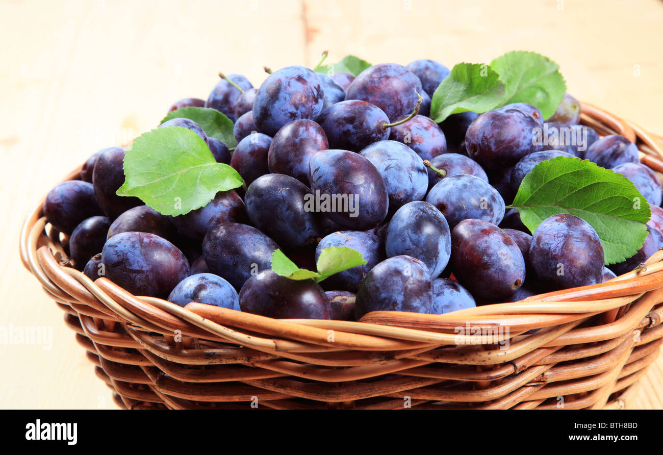 Basket of freshly picked plums Stock Photo - Alamy
