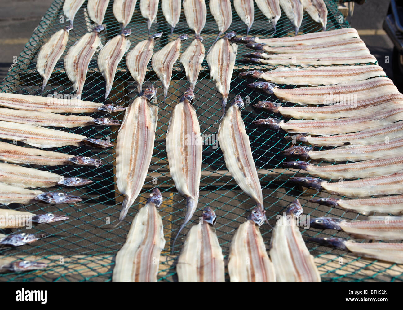 Fish Drying on racks at Jagalchi Seafood or Fish Market Busan South ...