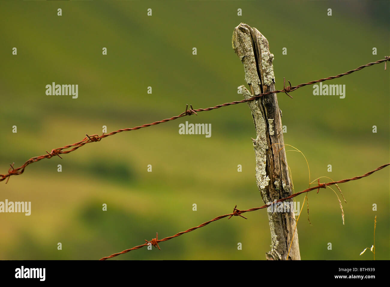 Old and rusty Stock Photo - Alamy