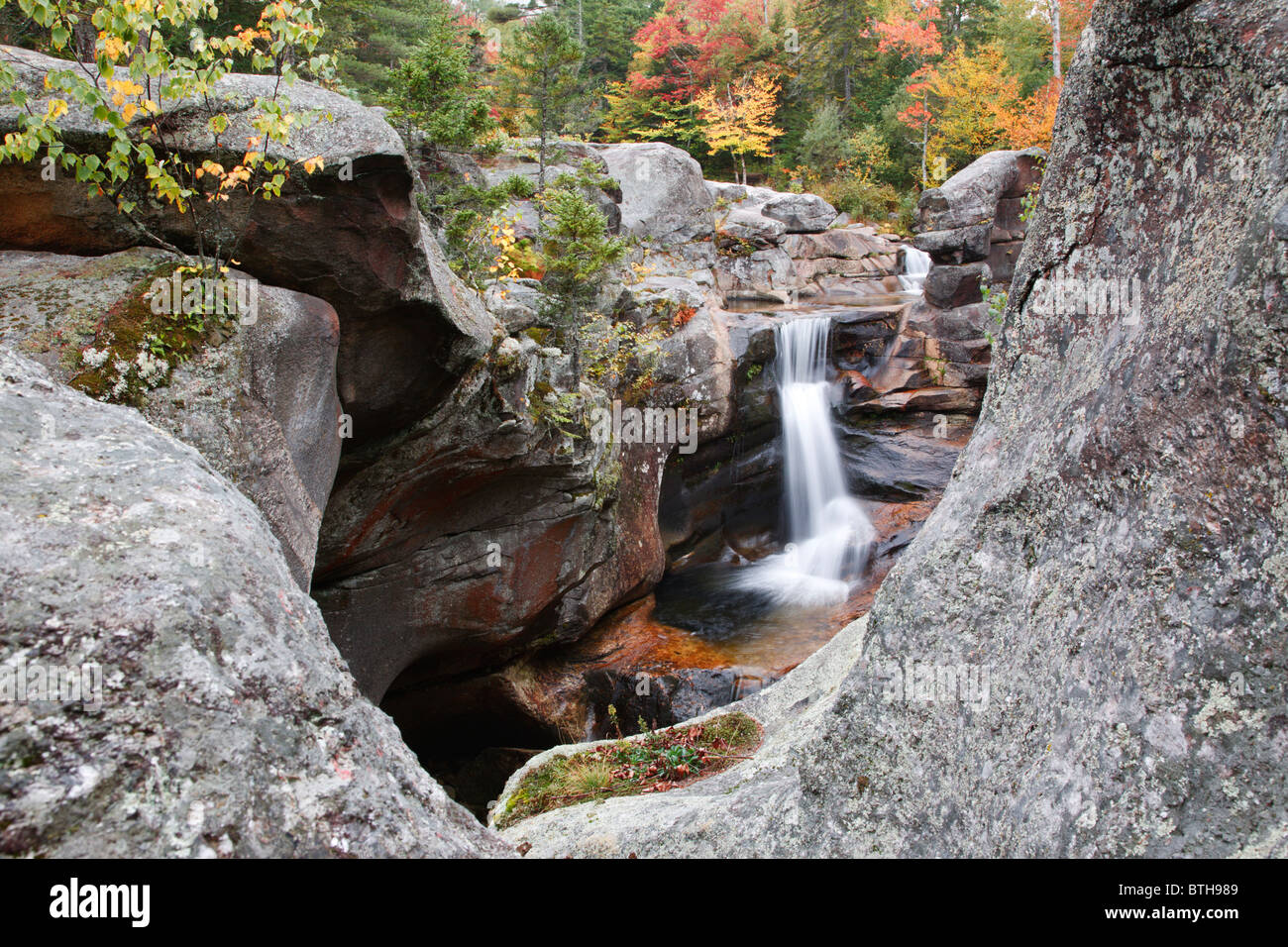 Grafton Notch State Park - Screw Auger Falls during the autumn months ...