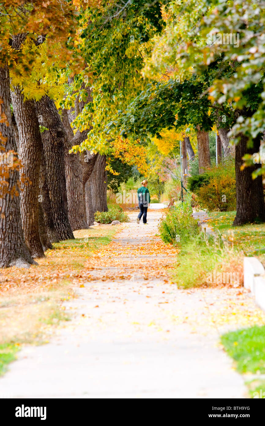 Man Taking Autumn Walk Stock Photo - Alamy