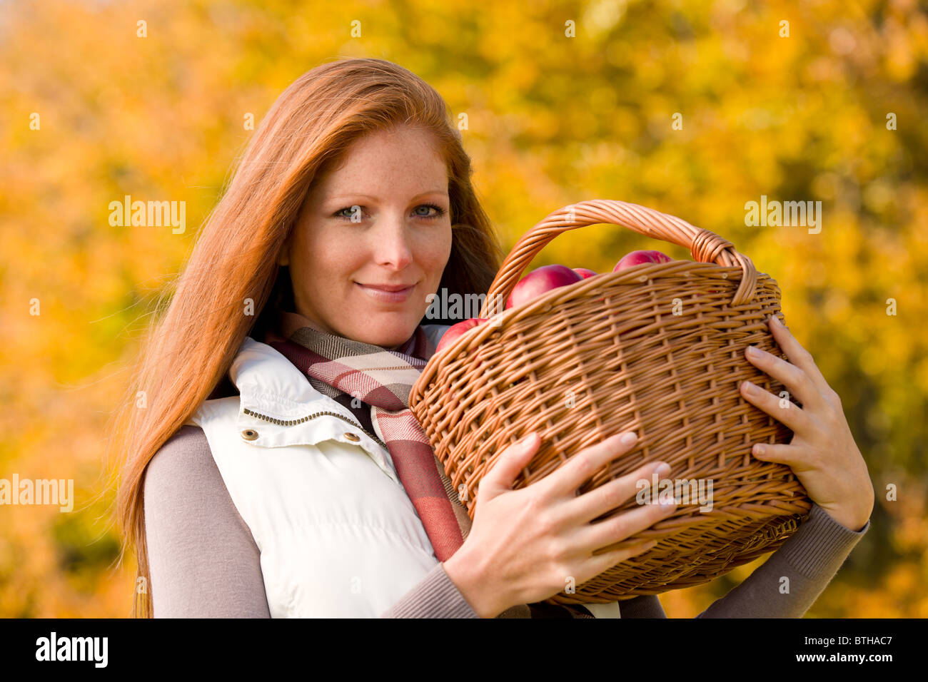 Autumn country - woman with wicker basket harvesting apple Stock Photo ...