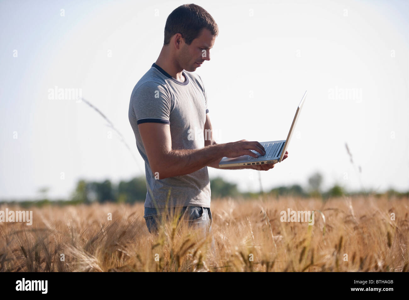 Man with laptop computer in wheat field Stock Photo - Alamy