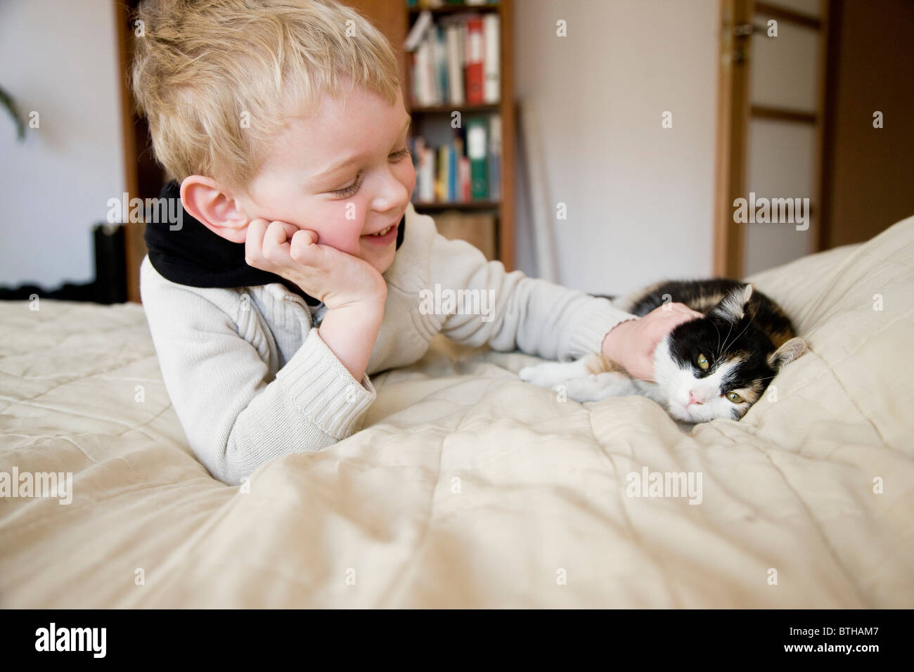 boy playing with cat on bed Stock Photo - Alamy