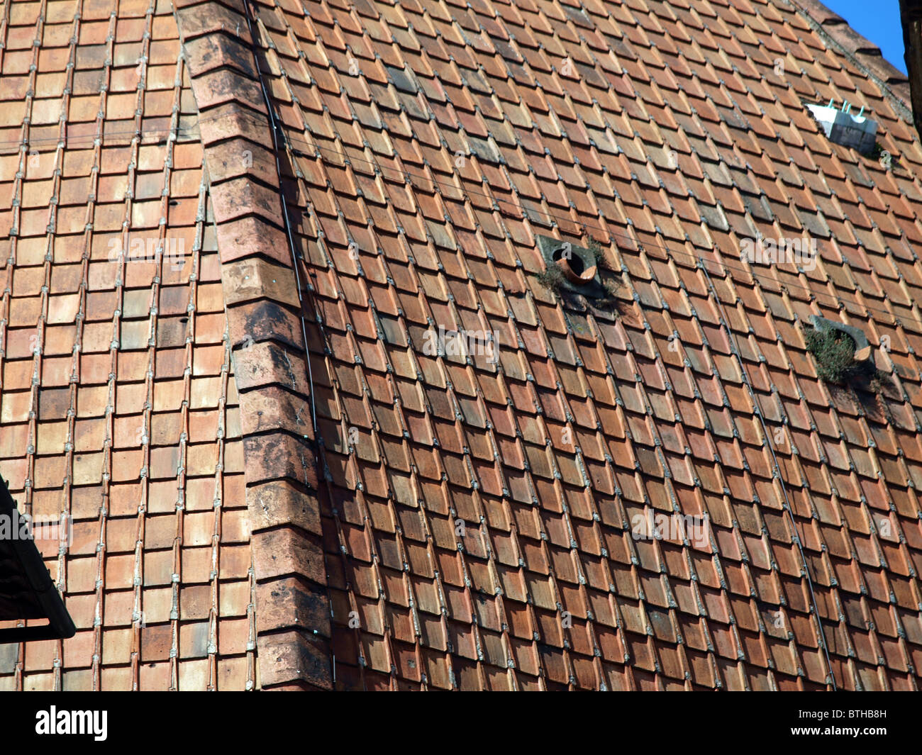 Florence - roof tile on the dome of the San Lorenzo Basilica Stock ...