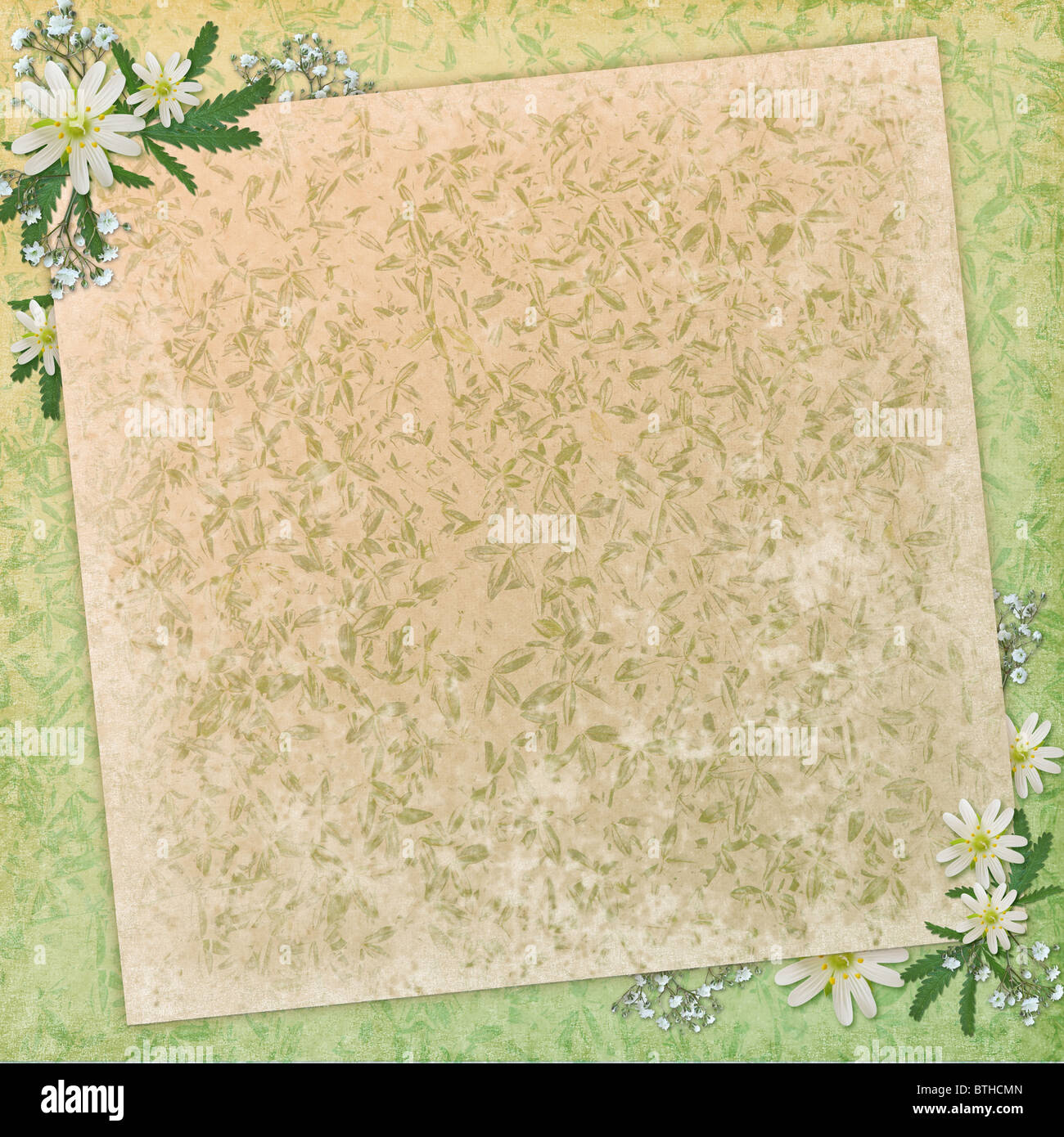 Background for card Stock Photo - Alamy