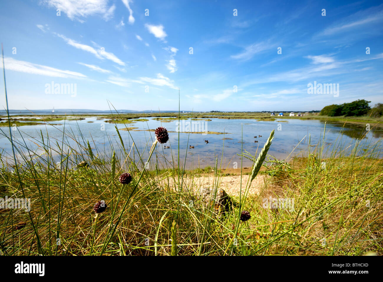 Beaulieu river hampshire hi-res stock photography and images - Alamy