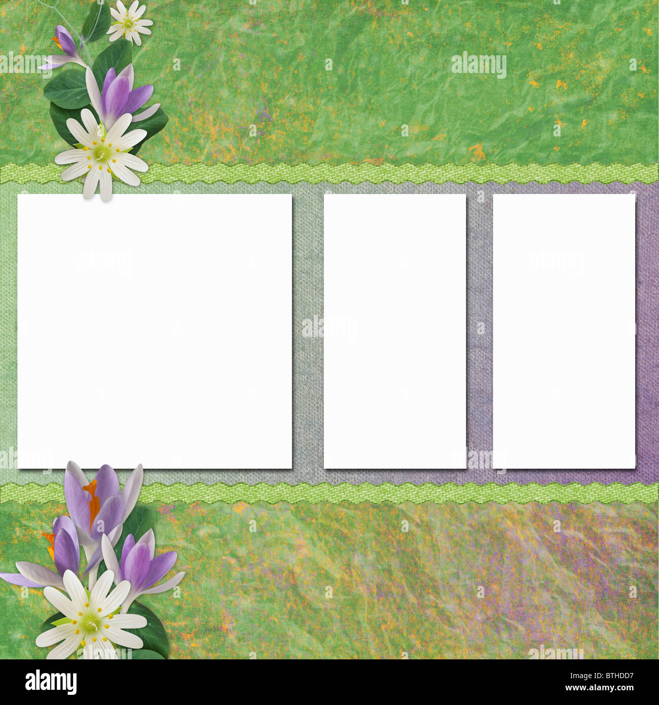 Background with frames and flowers Stock Photo - Alamy