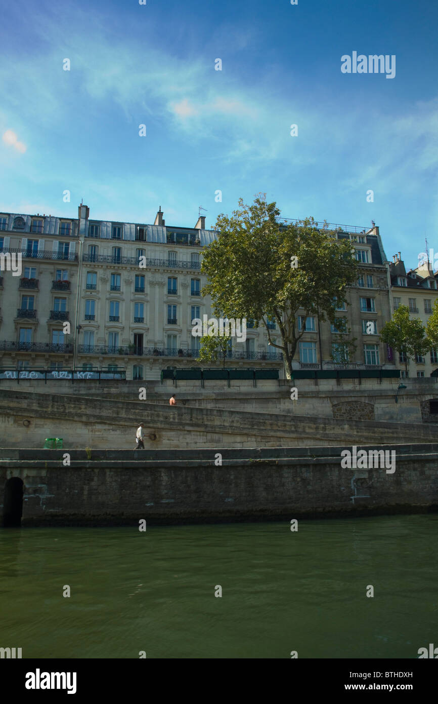 Buildings and tree on the riverbank, River Seine, Paris, France Stock ...