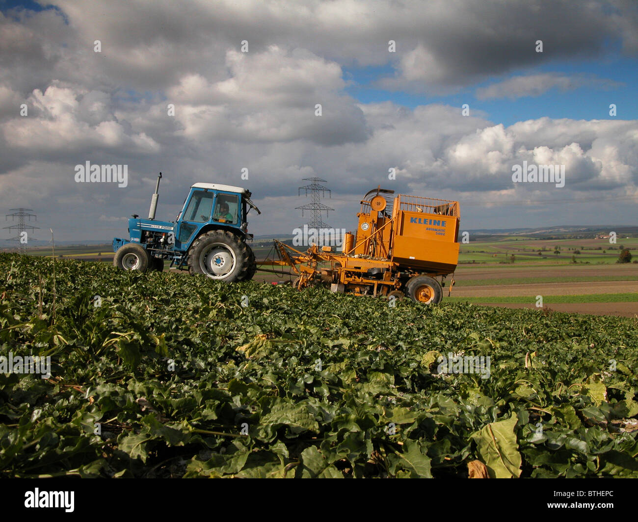 Sugar beet harvest Stock Photo - Alamy Sugar beet harvest Stock Photo - Alamy
