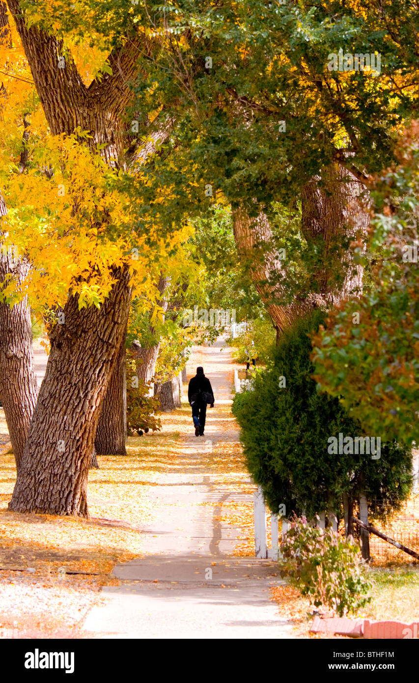 Man Taking Autumn Walk Stock Photo - Alamy