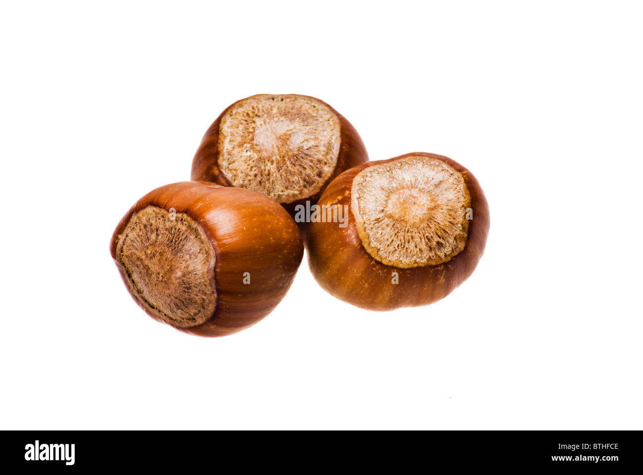 Nuts in shells hi-res stock photography and images - Alamy