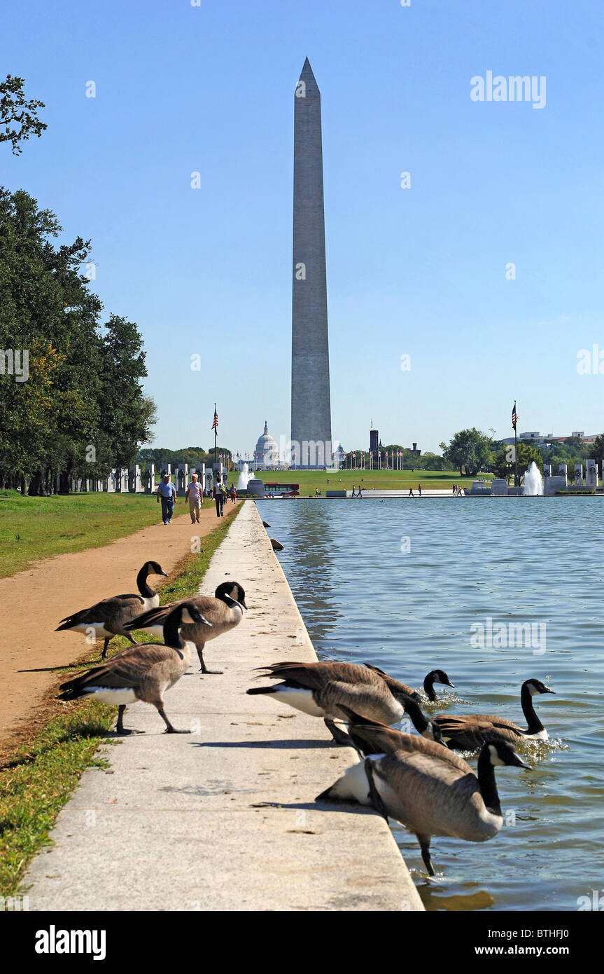 The Reflecting Pool at the National Mall with the Washington Monument ...