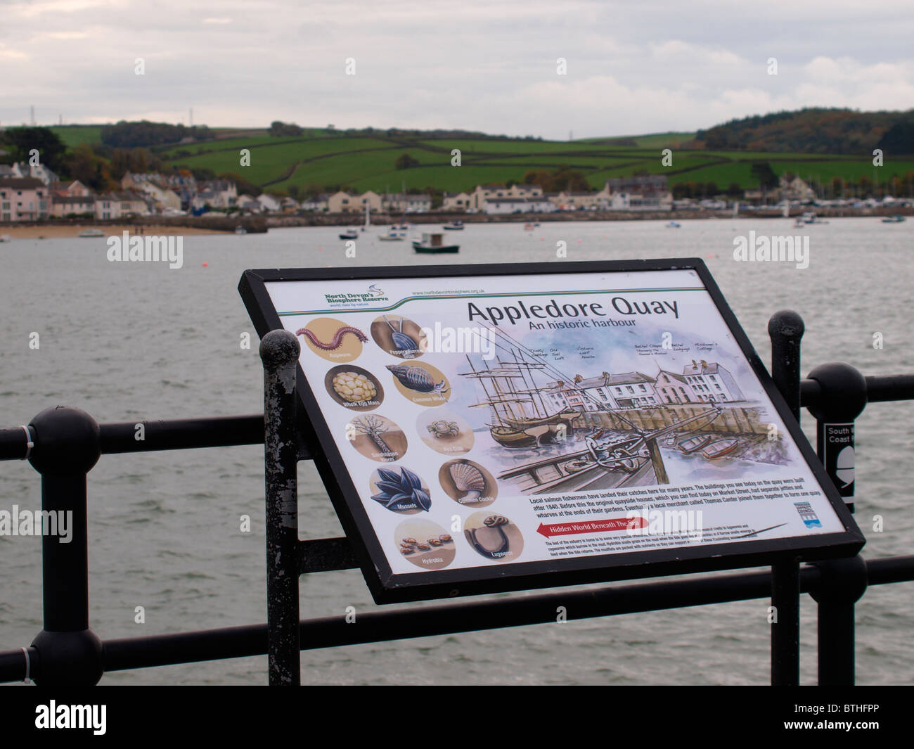 Appledore quay hi-res stock photography and images - Alamy
