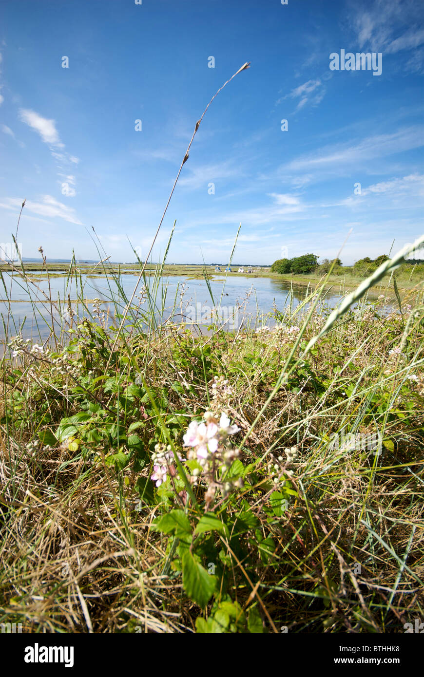 River Beaulieu Estuary Hampshire UK Stock Photo - Alamy