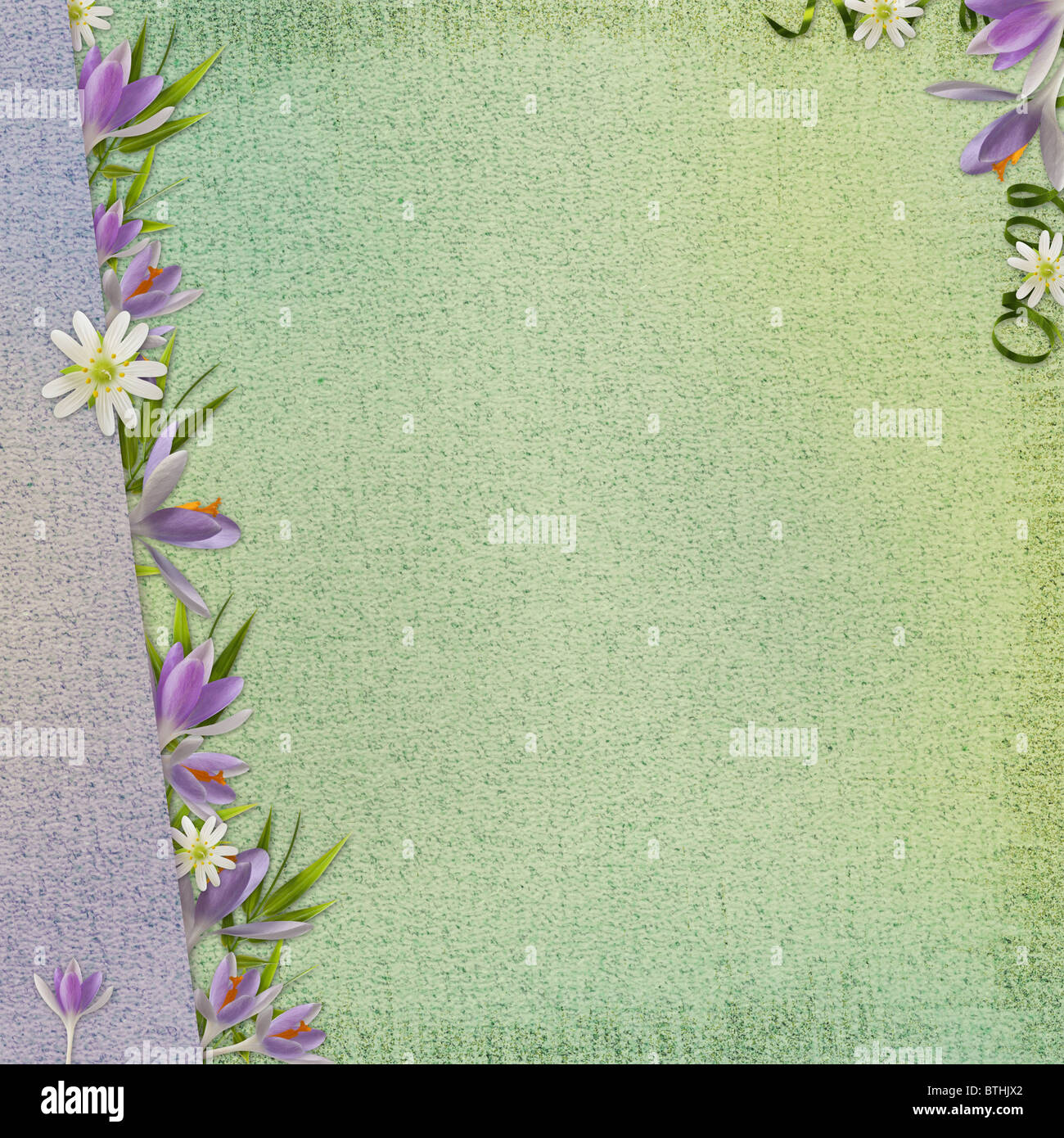 Spring background with flowers Stock Photo - Alamy