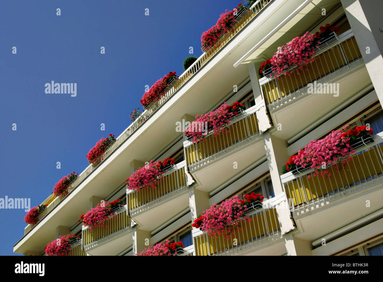 Decorated storefront hi-res stock photography and images - Alamy