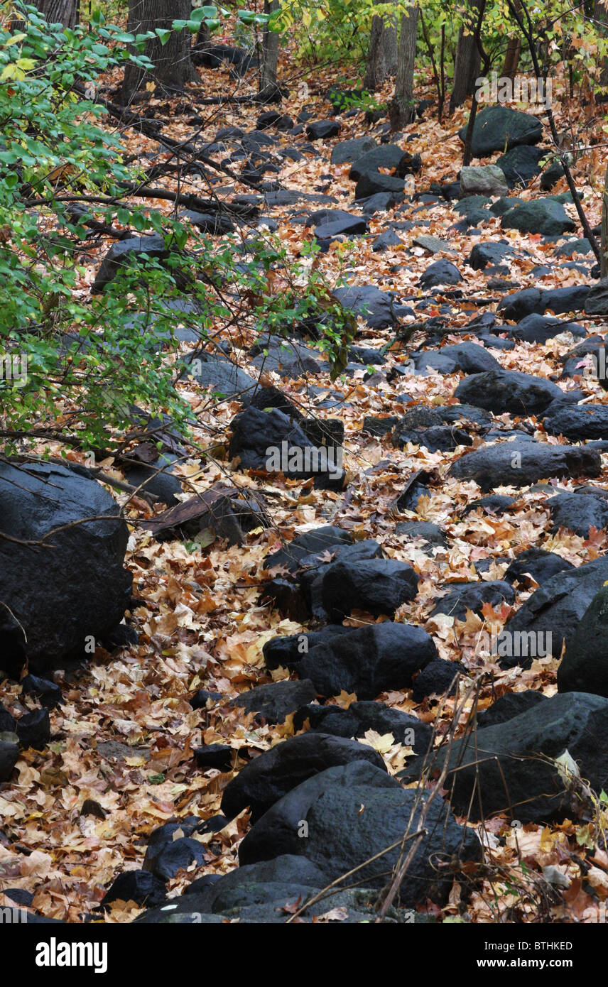 Dry stream bed with rocks and leaves Menomonee Falls Wisconsin Stock ...
