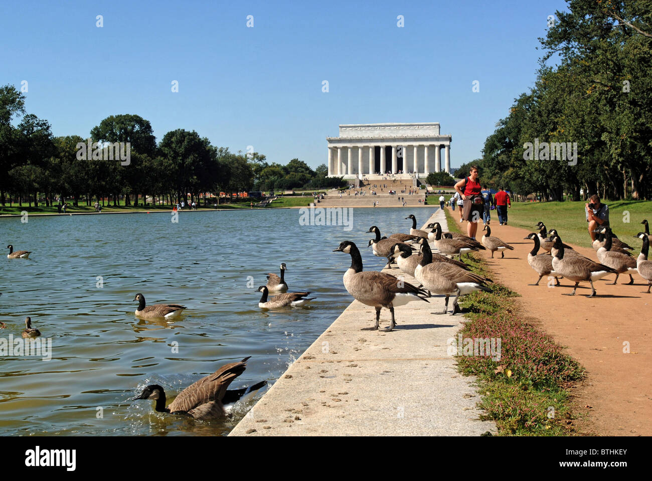 The Reflecting Pool at the National Mall with the Lincoln Memorial ...