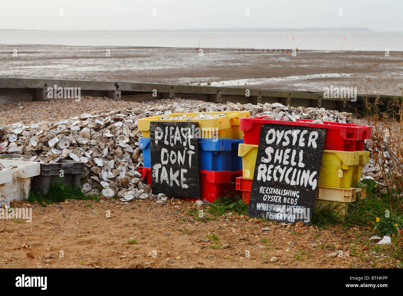 Sign for shell recycling on the beach Stock Photo - Alamy