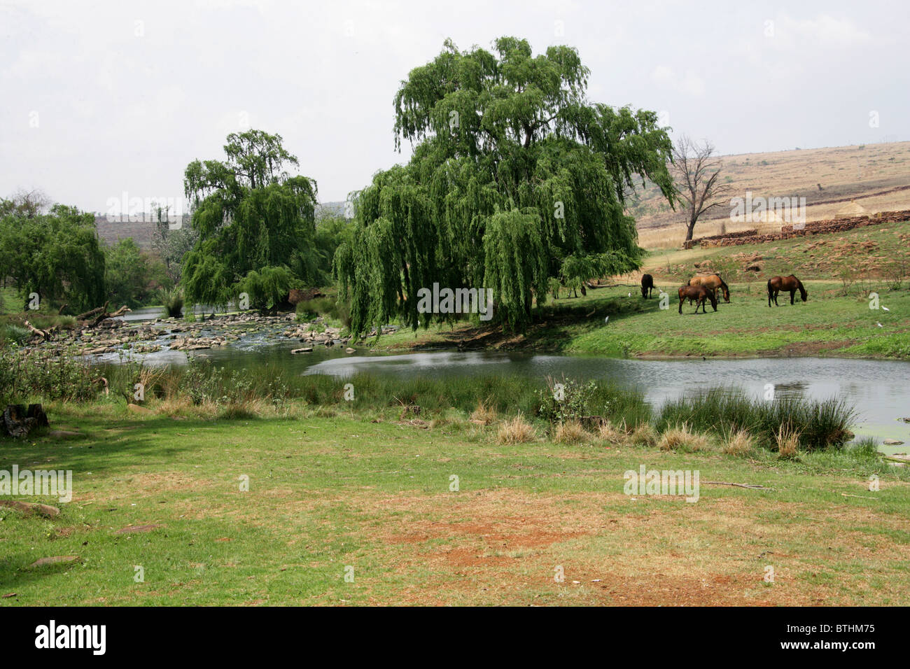 The River Running by the Botshabelo Historical Village, South Africa ...