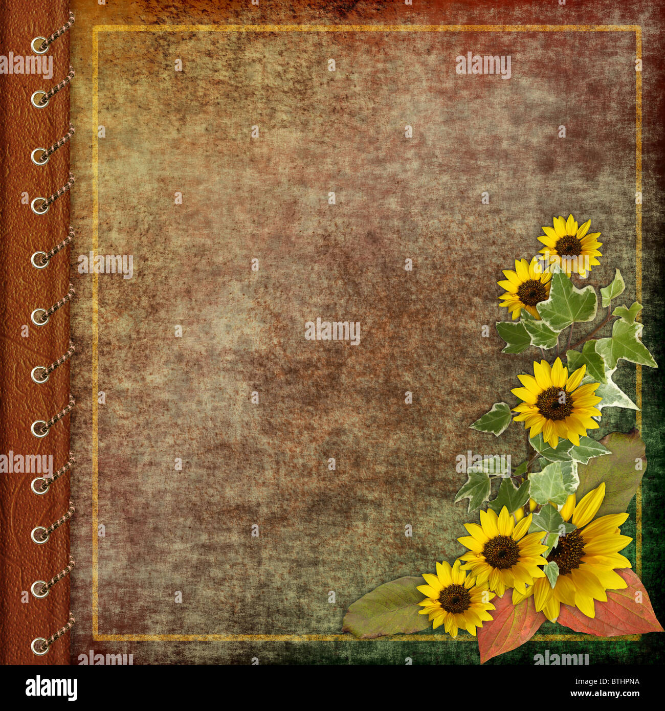 Vegetative cover hi-res stock photography and images - Alamy