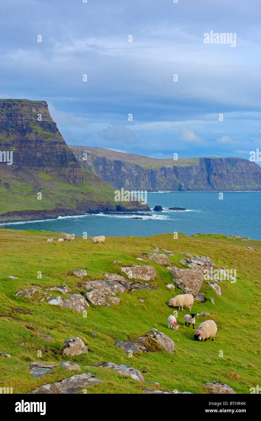 Waterstein Head, Neist Point, Isle of Skye, Western Highlands, Scotland ...