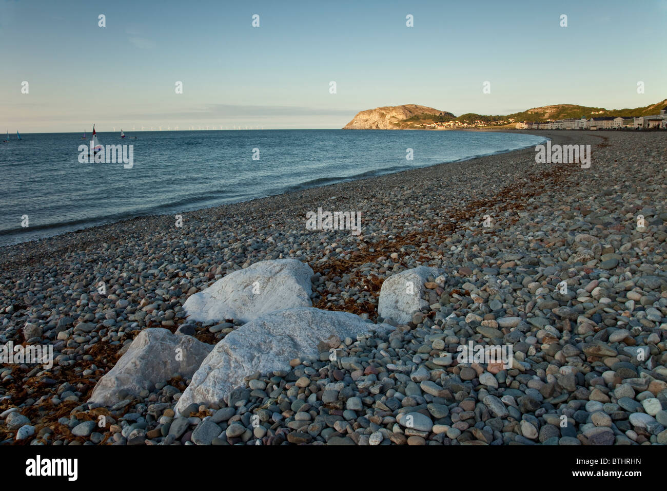 Little Orme,Llandudno,North Wales Stock Photo - Alamy