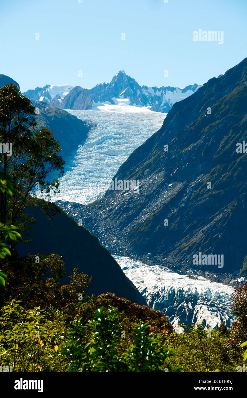 Fox Glacier,Pohutukawa,Rata Trees,Southern Alps,South Island New ...