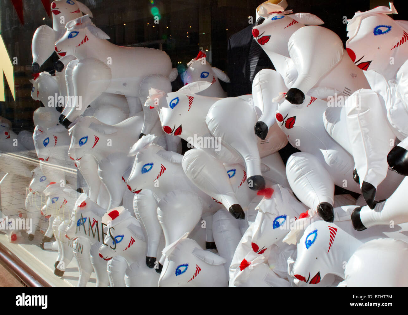 A special sheep themed window display at a tailors on Savile Row during ...