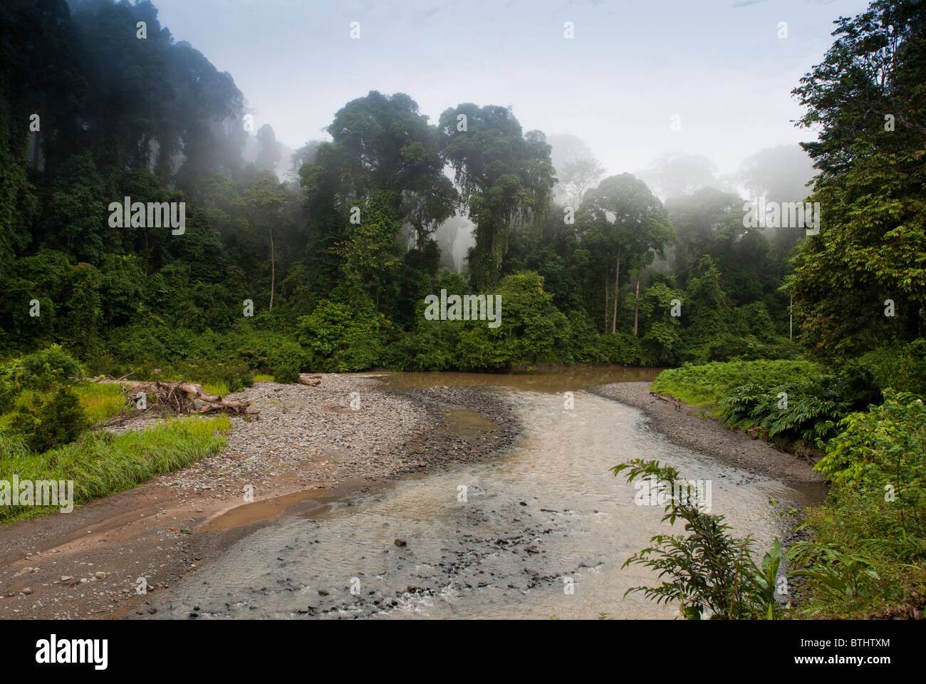 Borneo rainforest lodge hi-res stock photography and images - Alamy