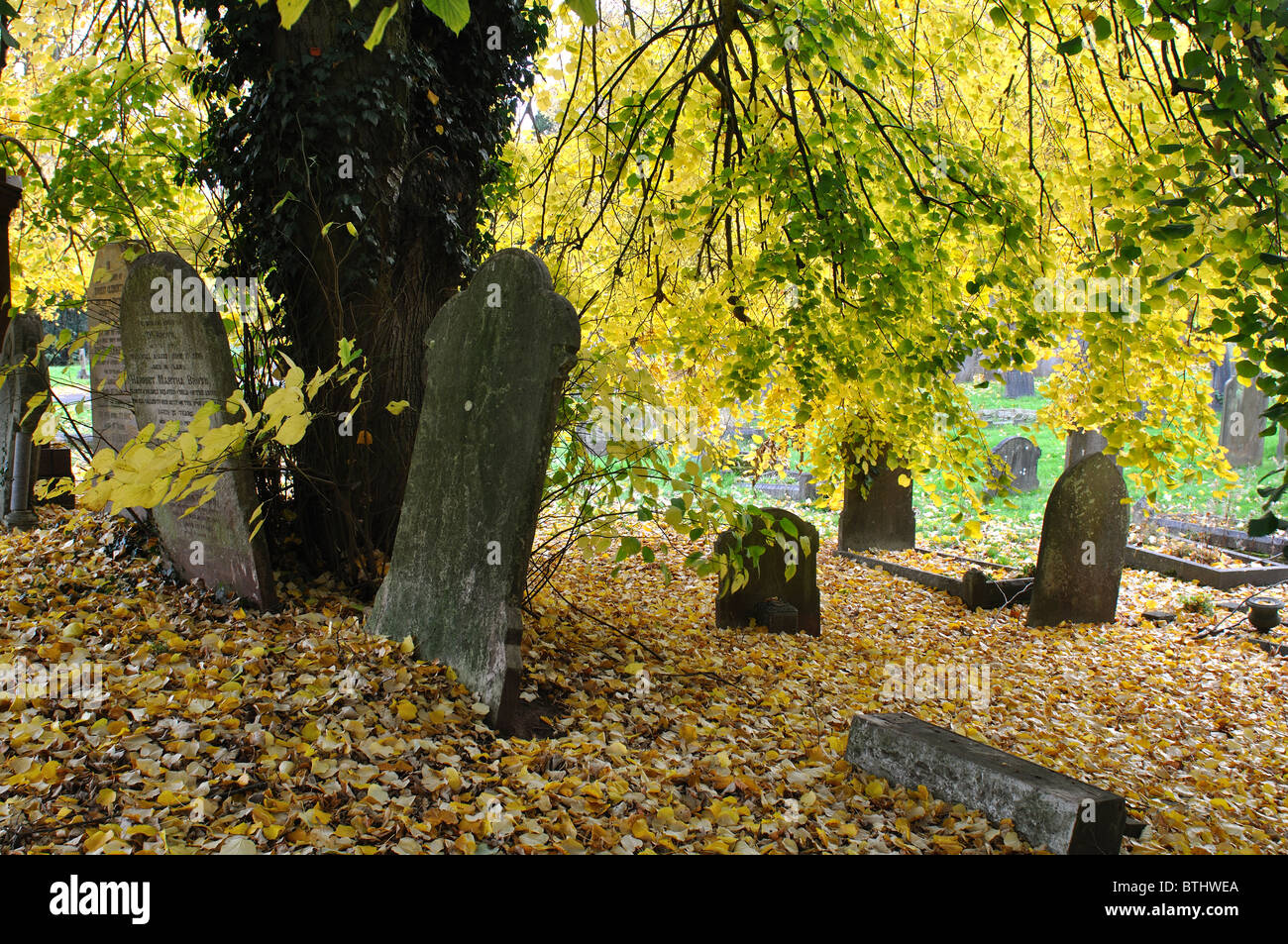 London road cemetery coventry hi-res stock photography and images - Alamy