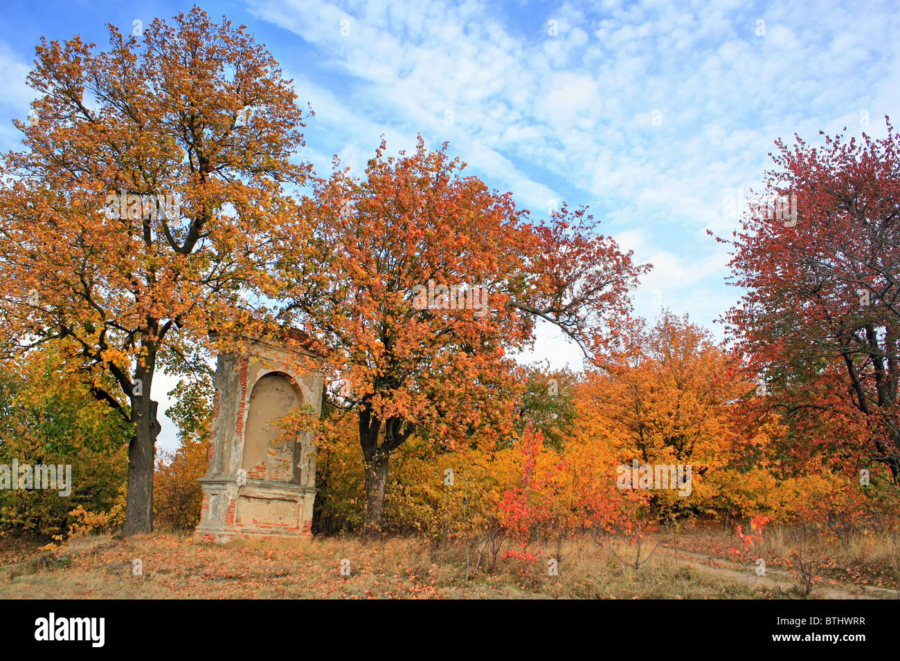 October tree hi-res stock photography and images - Alamy