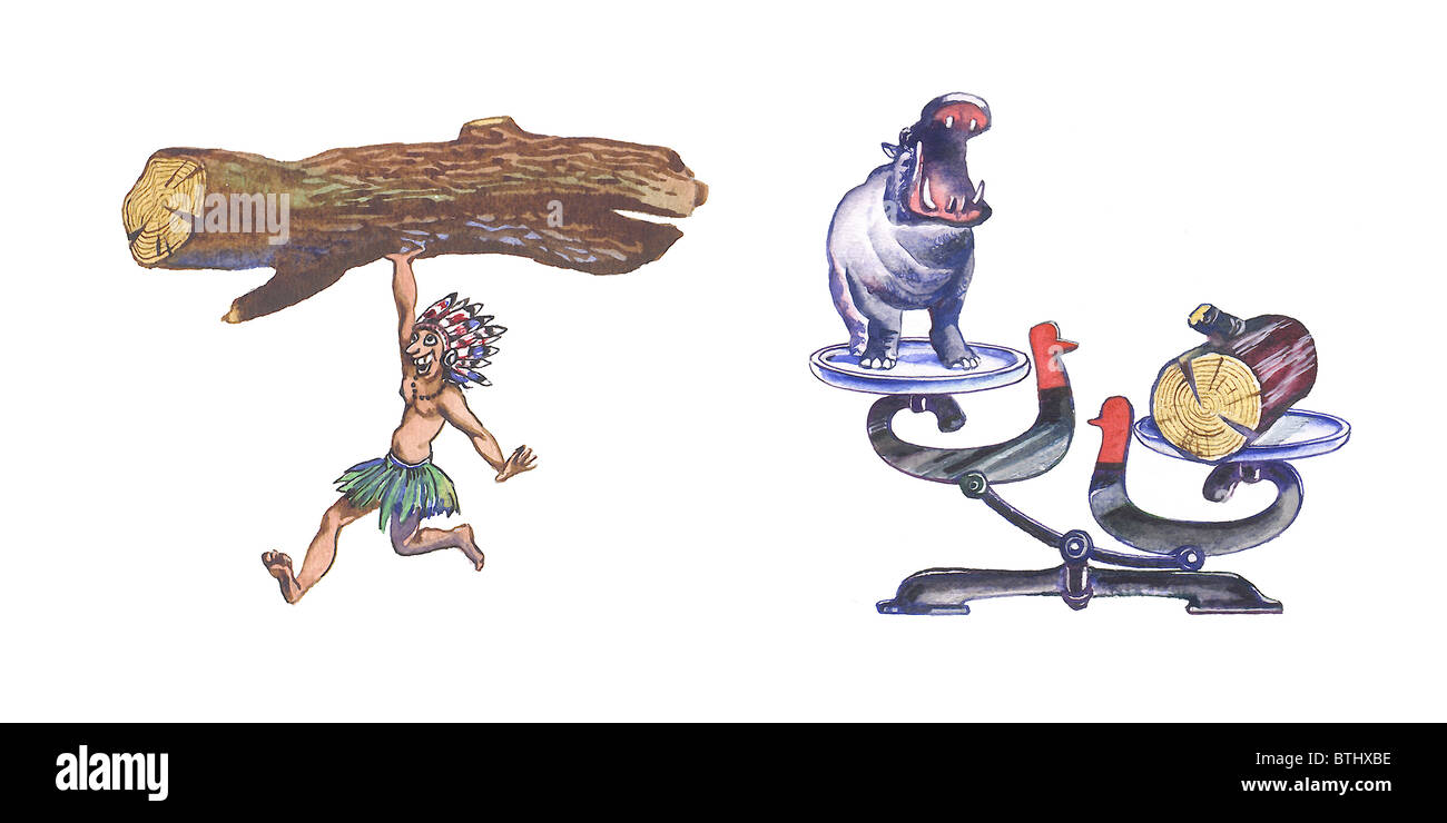 Balsa tree hi-res stock photography and images - Alamy