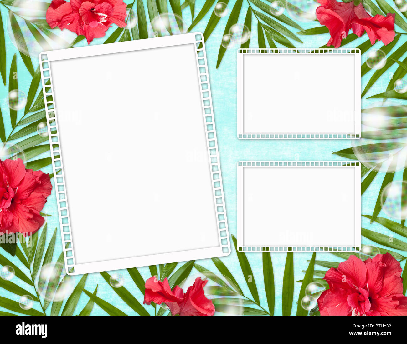 Summer background with frame Stock Photo - Alamy