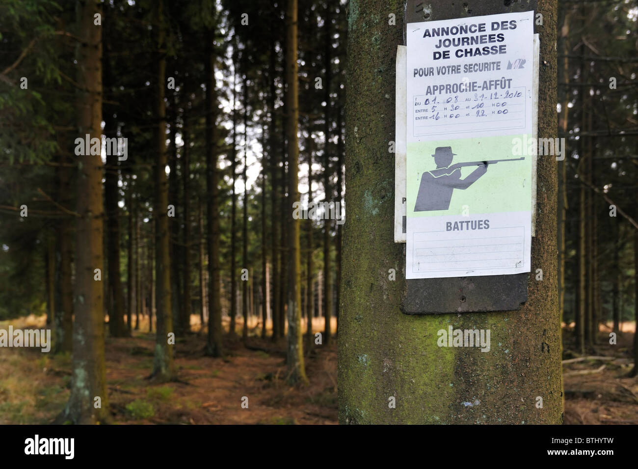Announcement of hunting season in forest, Ardennes, Belgium Stock Photo ...
