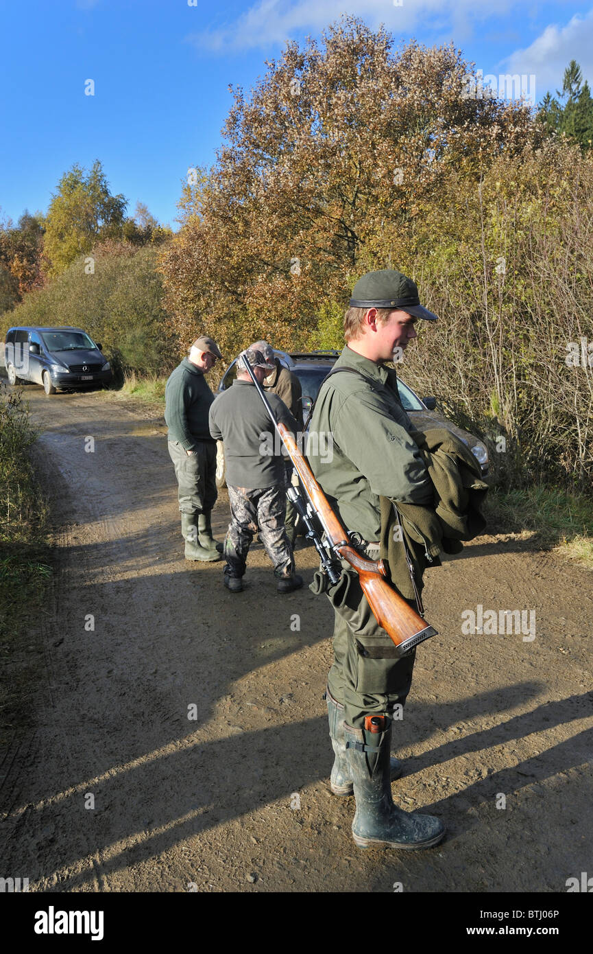 Hunters with shotguns in the Ardennes, Belgium Stock Photo - Alamy
