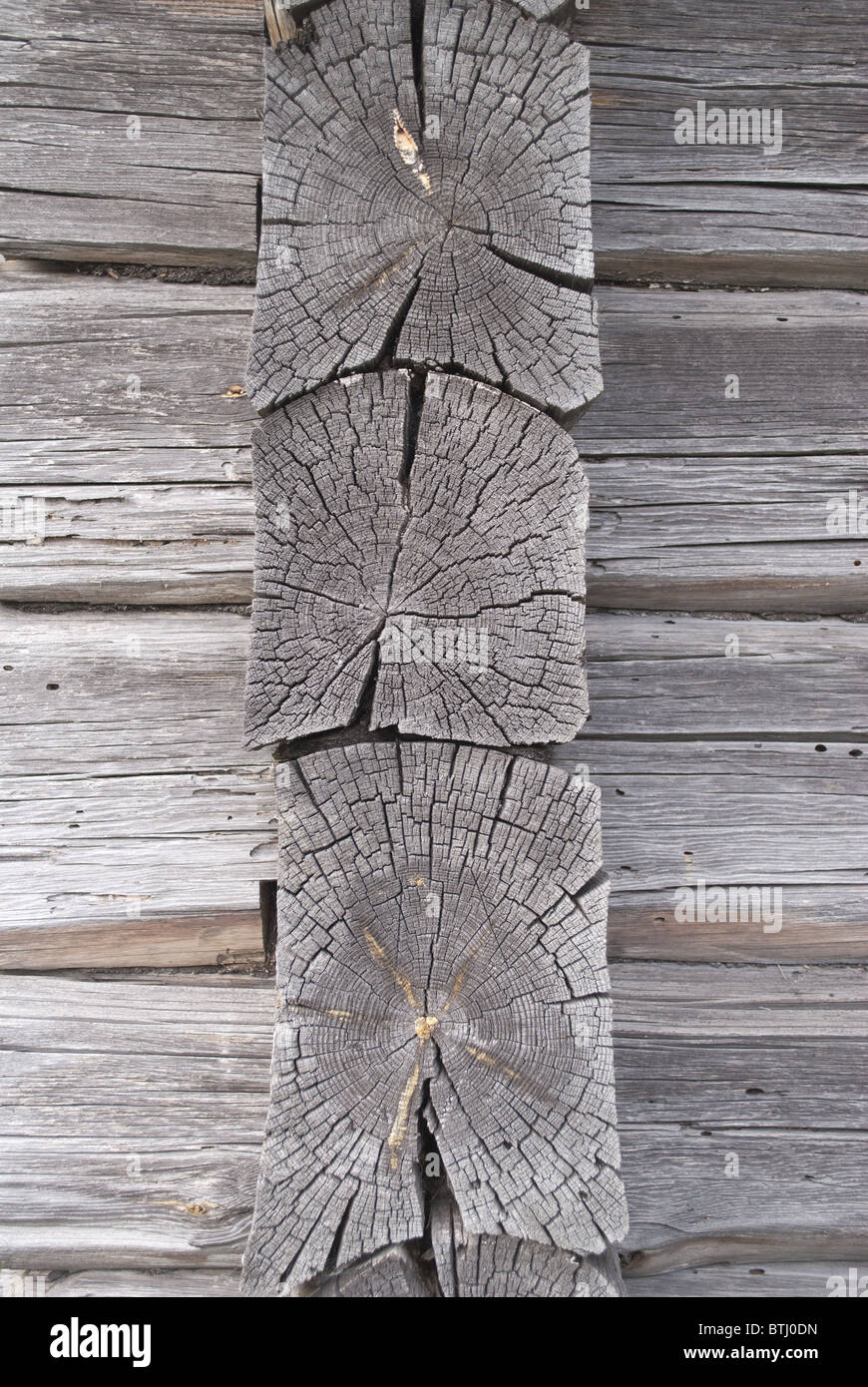 Wall patt hi-res stock photography and images - Alamy