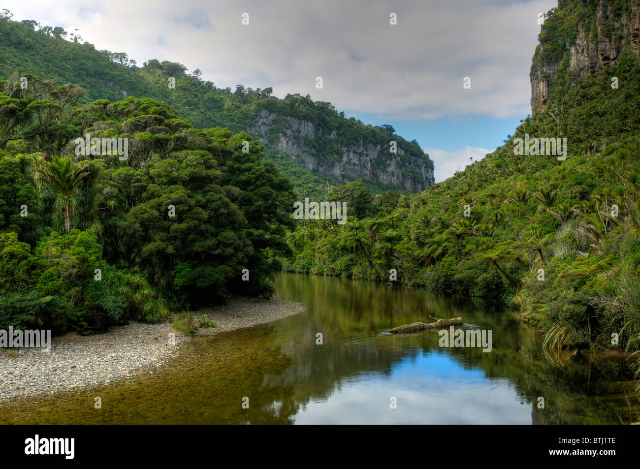 A River Winds through a Tropical Landscape Stock Photo - Alamy